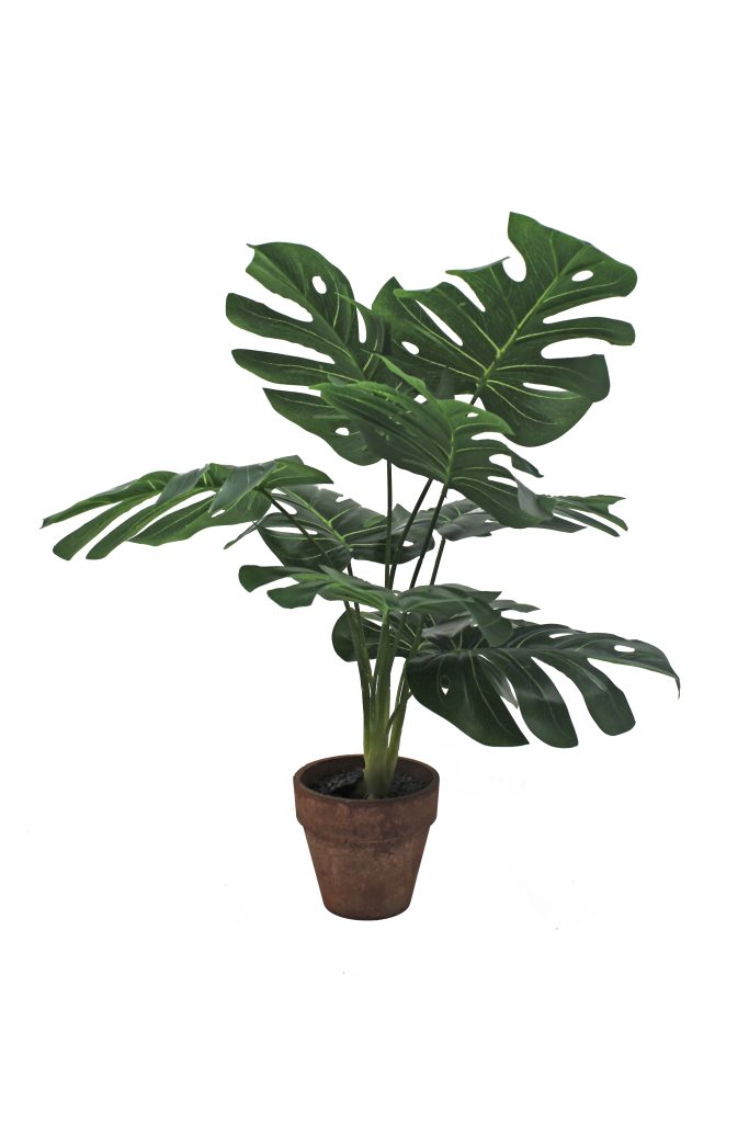 PLANTA ARTIF MONSTERA 50CM - Sinder