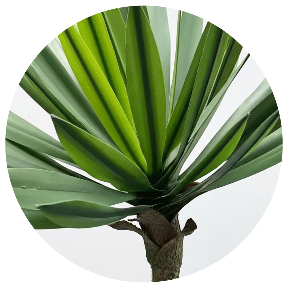 YUCA 67CM EXTERIOR - Sinder